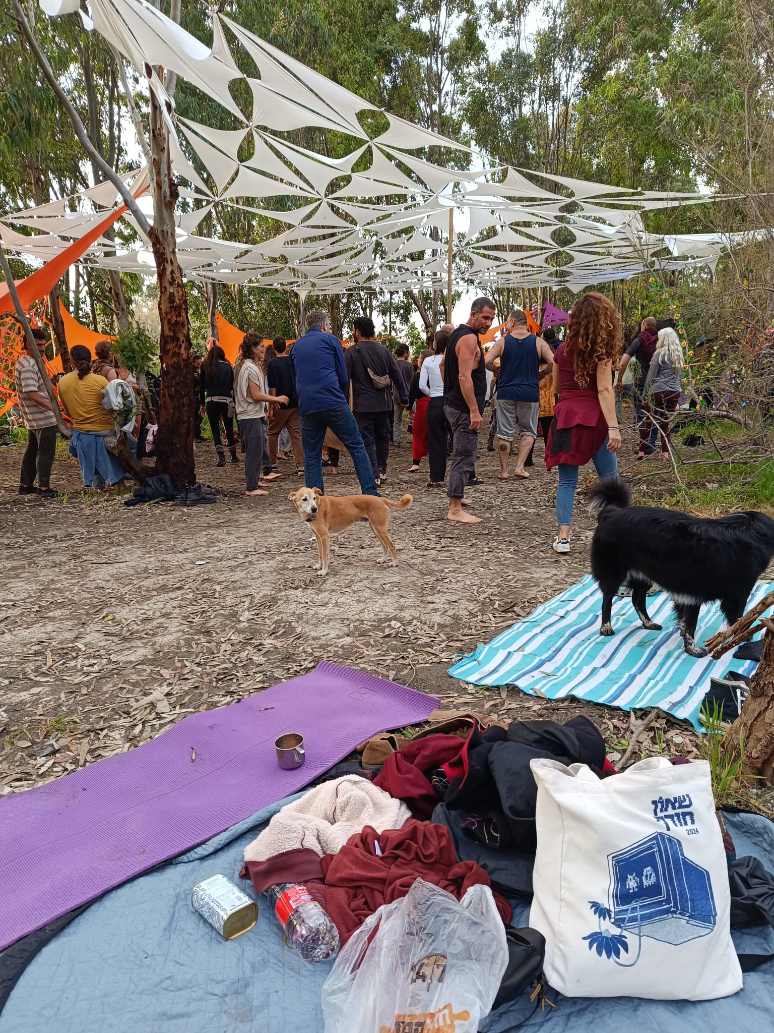 SIMPLE PPL PURIM 23/3